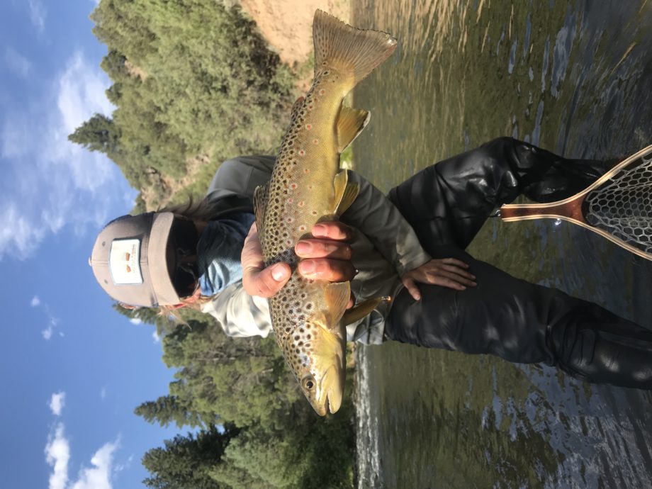 Rocky Mountain Expedition Final Update | Lillard Fly Fishing Expeditions